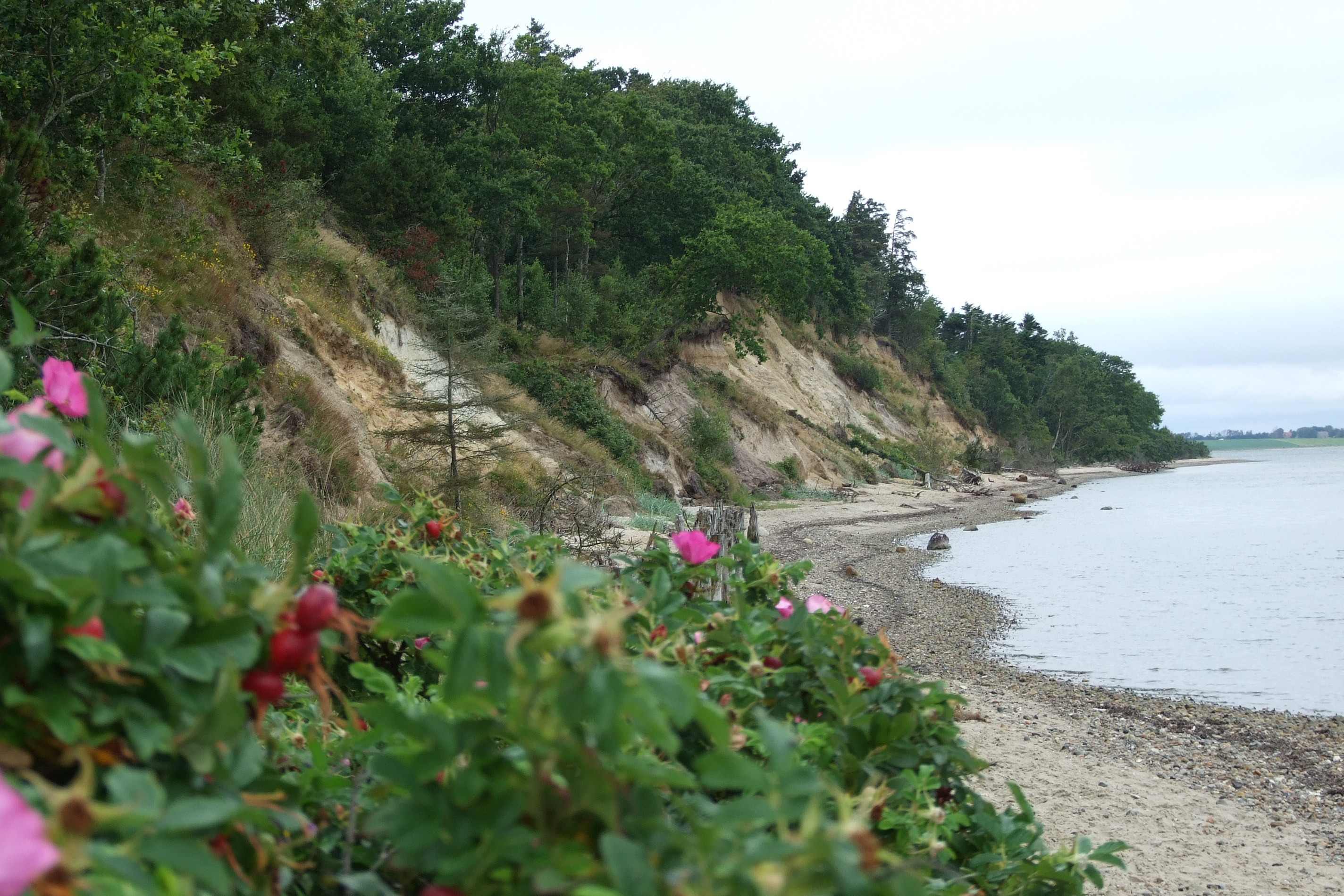 Sommerhuse til leje i Thyholm. Hold ferie midt i naturen. Book nu.