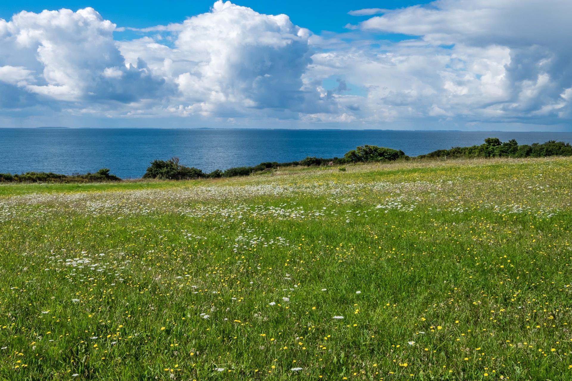 Lej sommerhus ved Sandvig Havn