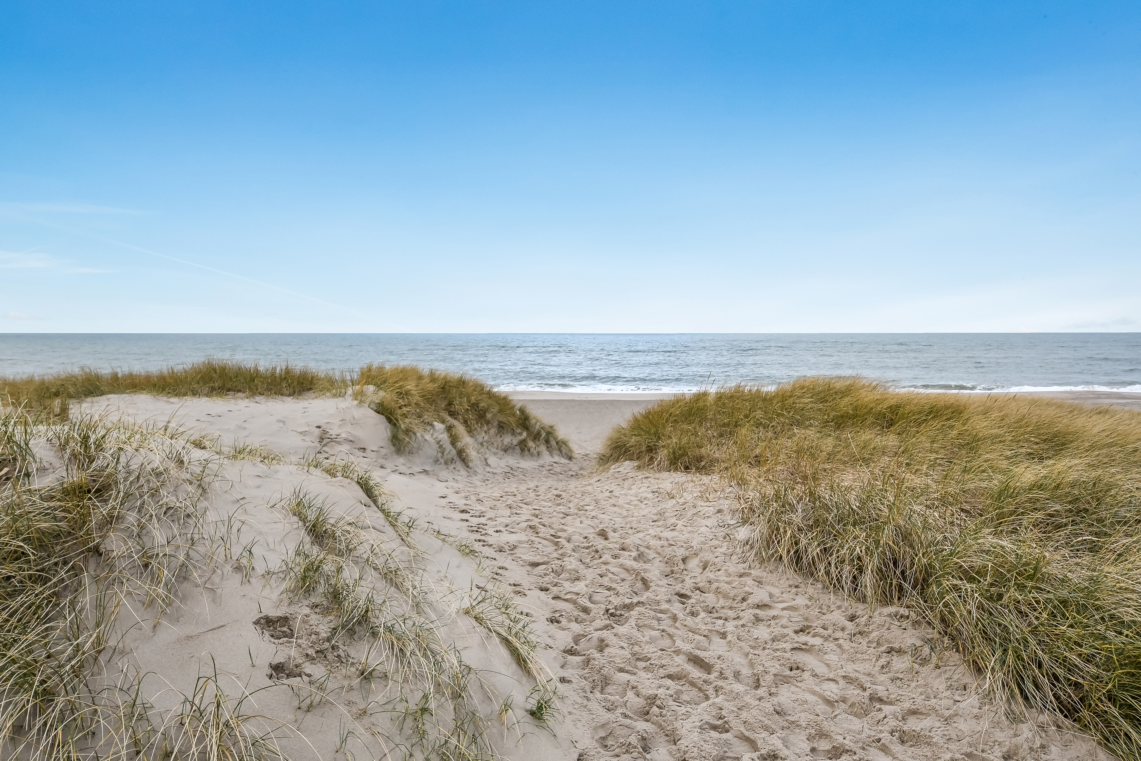 Rent a holiday home in Vejlby Klit